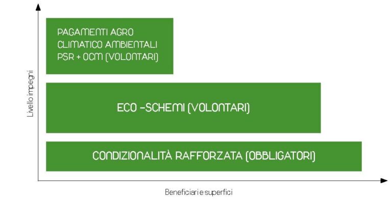 PAC 2023-2027: gli eco-schemi | SportelloAgricoltura.it | Professionisti in agricoltura